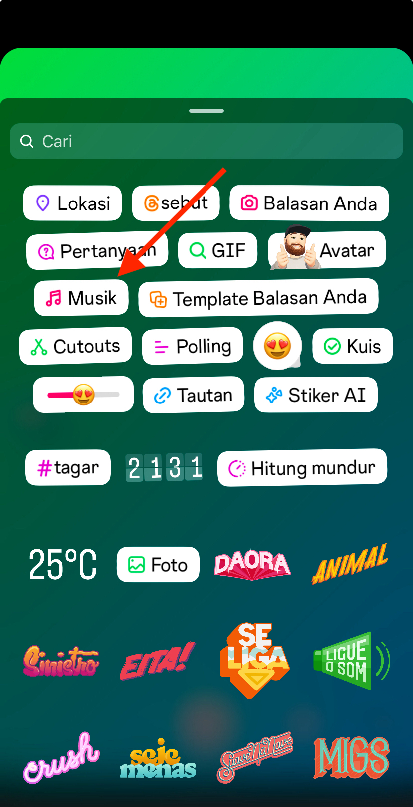 Detail Platform – Pusat Bantuan DistroKid