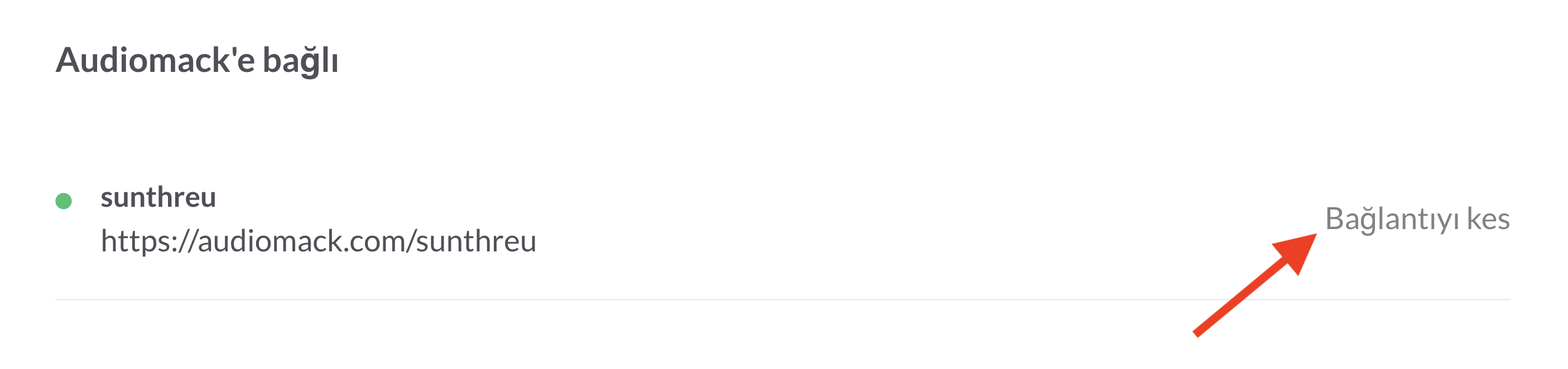 Audiomack Hesabının Bağlantısı Nasıl Kesilir (ve Nasıl Yeniden Bağlanır ...