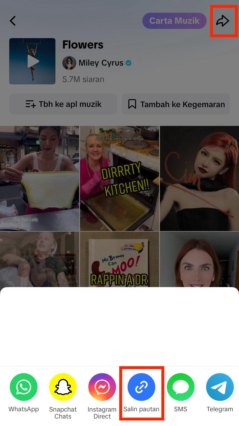 Bagaimanakah Saya Boleh Memautkan Lagu Saya dengan Profil TikTok Saya ... Bagaimanakah Saya Boleh Memautkan Lagu Saya dengan Profil TikTok Saya ...